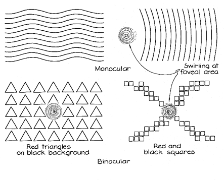 Dr. Neil Greenberg » A&O EXCERPT – ABOUT PHOSPHENES (1981)