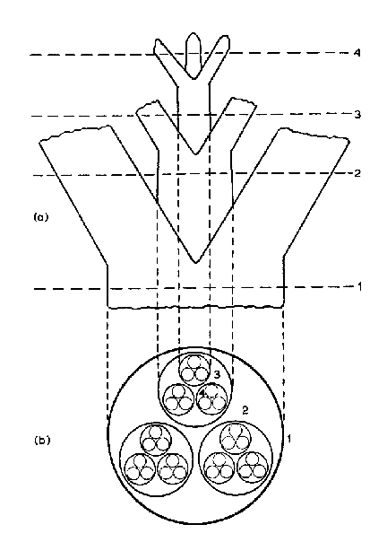 Dr. Neil Greenberg » WORD – JANUSIAN THINKING